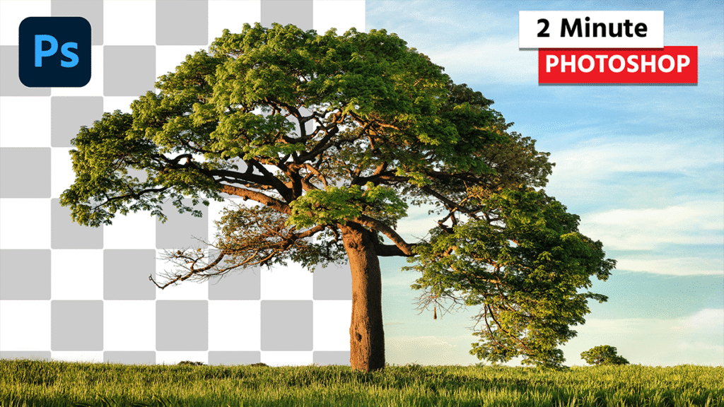 Remove Complex Tree Background in Adobe Photoshop 2025 - Arzuz Creation